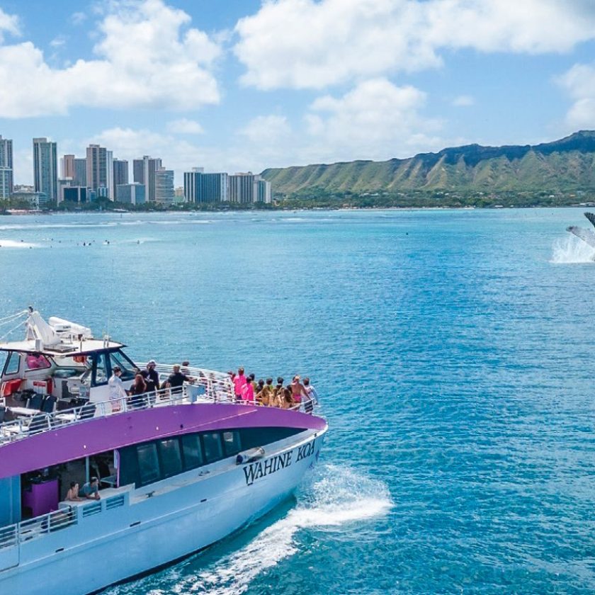 Pink Sails Waikiki | Catamaran Sailing Tours in Honolulu, Hawaii